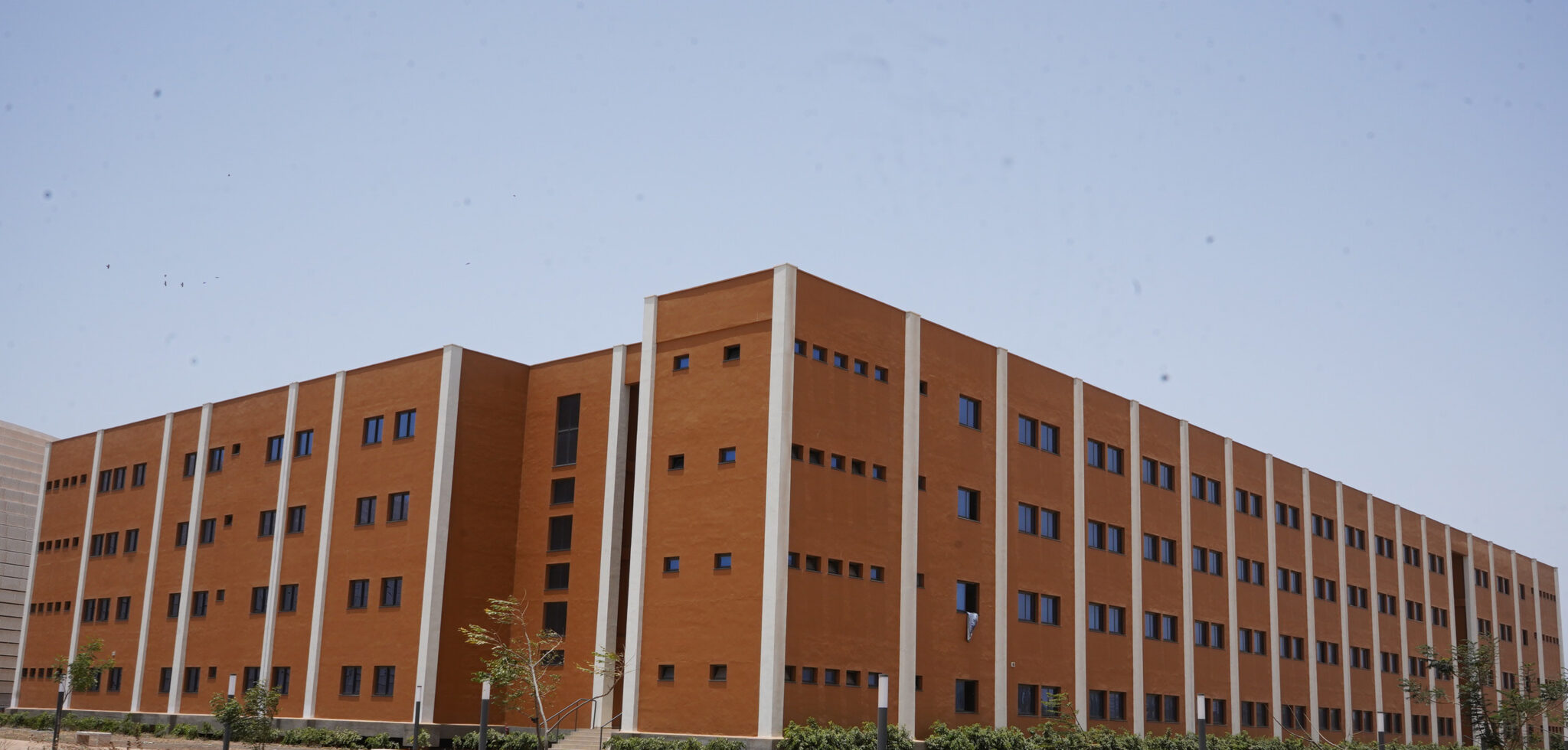 POLYTECH DIAMNIADIO – UAM